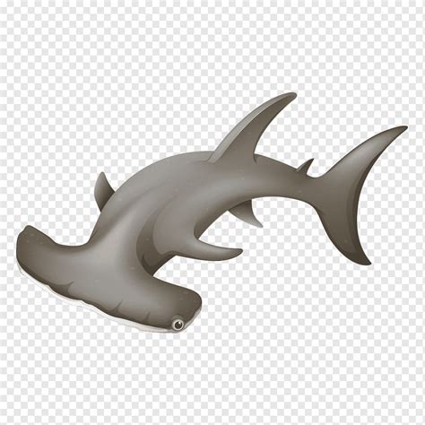 Explosivos tierra principal Increíble dibujos de tiburones martillo