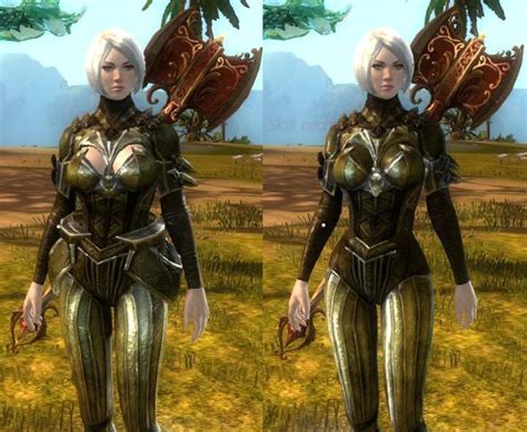 Guild Wars 2 Nude Telegraph