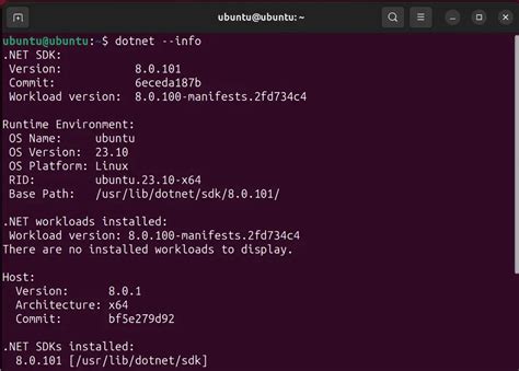 Host ASP NET Core On Apache In Linux