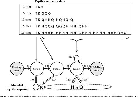 figure 1 from hidden markov model based approach as the first screening of binding peptides that