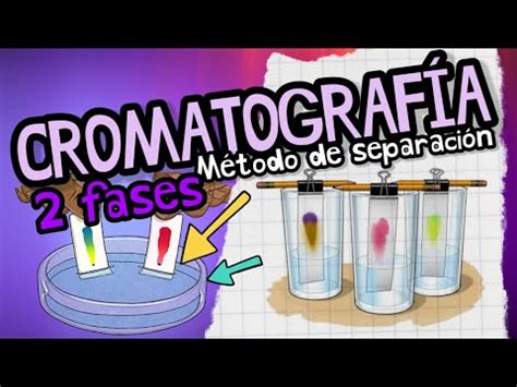 Red Magisterial Qué es la cromatografía Métodos de separación de