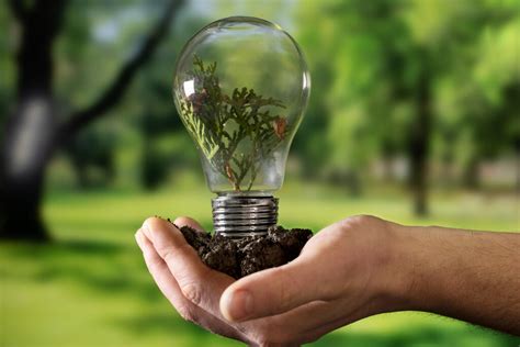 Saiba O Que Empreendedorismo Sustent Vel Dicas Guia Completo