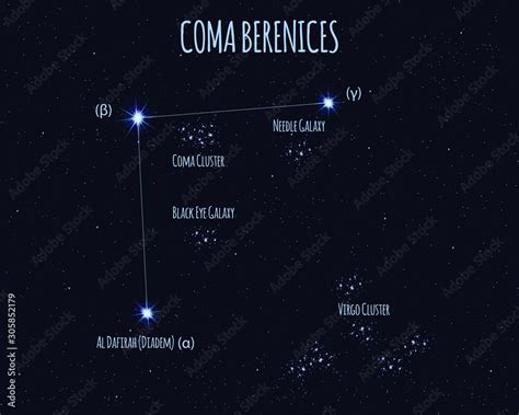Coma Berenices Berenices Hair Constellation Vector Illustration
