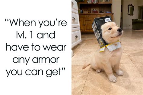 50 Relatable Gaming Memes To Make You Laugh Bored Panda