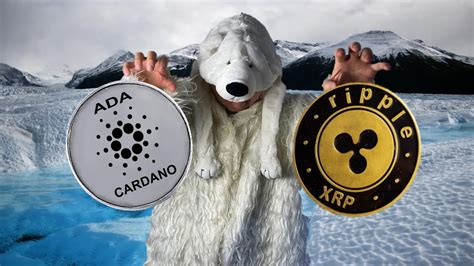 Cardano Ripple XRP Altcoin Paket Kommt Jetzt Der Durchbruch YouTube
