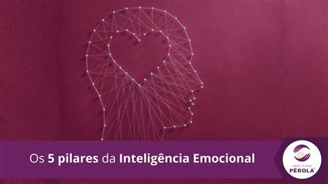 Os Pilares Da Intelig Ncia Emocional