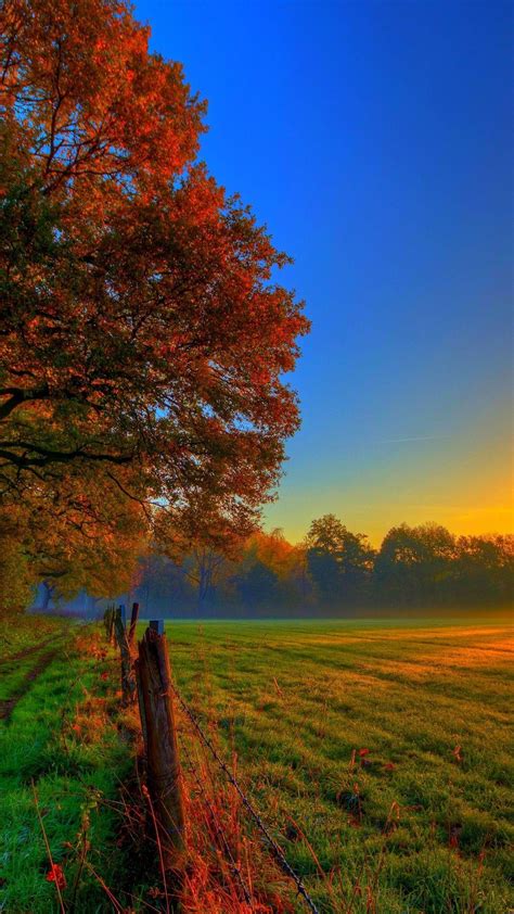 4K Autumn Wallpapers Top Free 4K Autumn Backgrounds WallpaperAccess