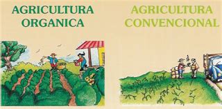 La agricultura convencional involucra diferentes técnicas basado en el