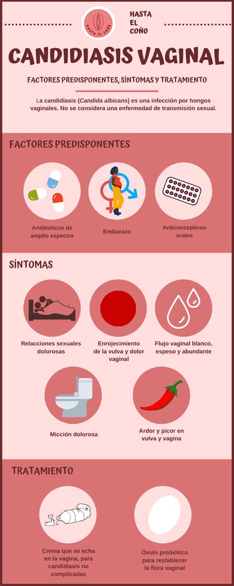 Medidas Para Prevenir La Candidiasis Vaginal The Best Porn Website