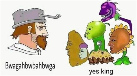 Plants Vs Zombies Plants Vs Zombies Know Your Meme