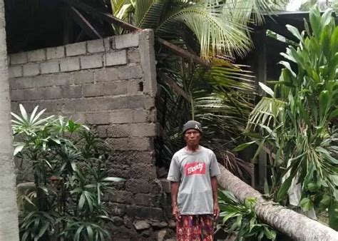 Cuaca Ekstrem Pohon Bertumbangan Di Karangasem Berikut Penuturan BPBD