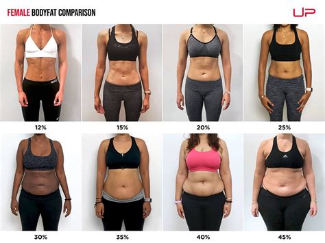 Body Fat Percentage Comparison For Women Visual Guide Ultimate