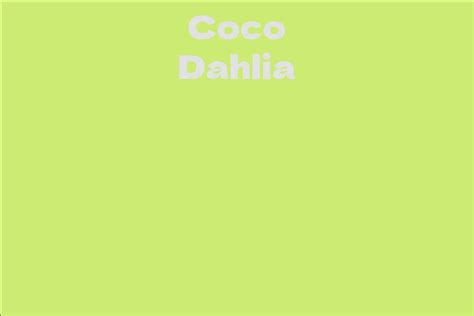 Coco Dahlia Facts Bio Career Net Worth Aidwiki