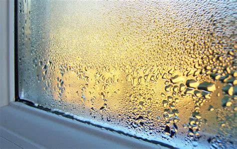 How To Stop Condensation On Windows And What Causes It