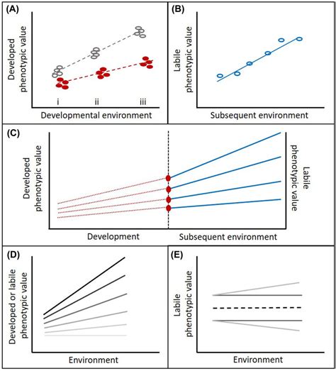 illustrations of phenotypic plasticity in continuously distributed download scientific diagram