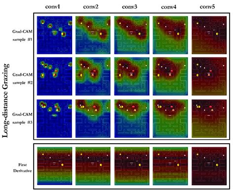Heatmaps Of Convolutional Layer Weight Feature Map For Three Samples