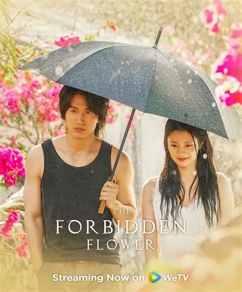 Drama China Dibintangi Jerry Yan Pemain The Forbidden Flower
