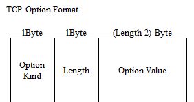Tcp Options Se