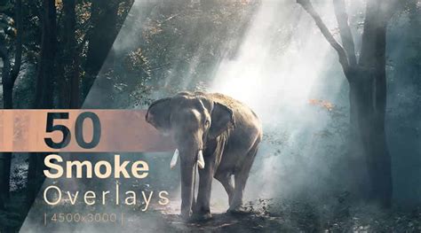 10 Best Free Smoke Brush Sets For Photoshop Speckyboy