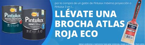 Ideasa GRUPO IDEASA Al Pintar Somos la Solución