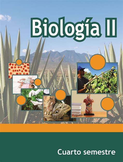 Descargar Libro De Conaliteg Image To U