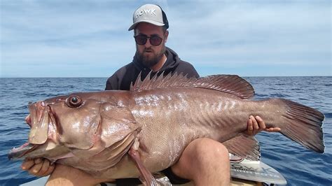 El Pez De Una Vida Mero Denton 45kg Pescando En Aguas Profundas