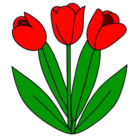 Premium Vector Tulips Flower