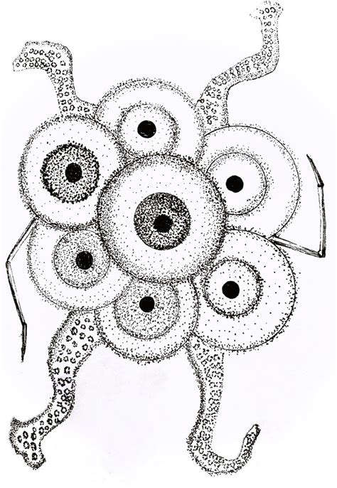 Eye Creature Drawing By Suzette Doodle Addicts