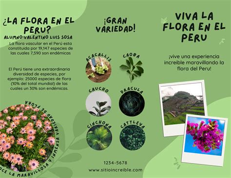 Tríptico DE LA Flora EN EL PERU viva la flora en el peru gran