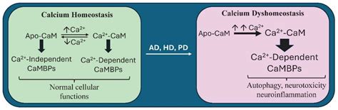 Biomolecules Free Full Text The Complex Interplay Between Toxic