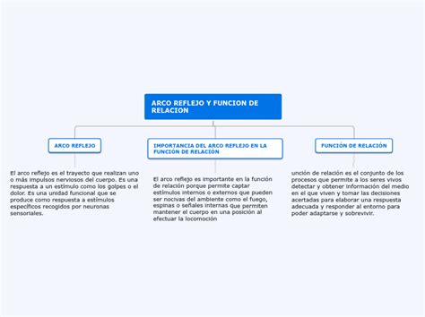 ARCO REFLEJO Y FUNCION DE RELACION Mind Map