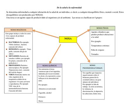 Noxas Y Enfermedades 2020 2 De La Salud A La Enfermedad Se