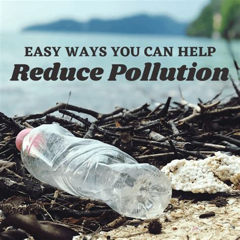 Easy Ways You Can Help Reduce Pollution Dengarden