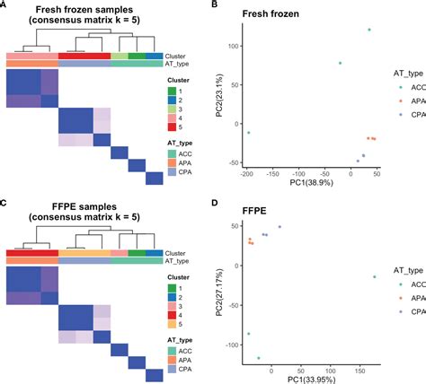 frontiers whole transcriptome profiling of adrenocortical tumors using formalin fixed paraffin