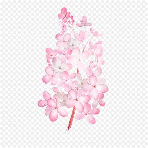 粉色花朵PNG图片素材下载 图片编号qonmrrej 免抠素材网