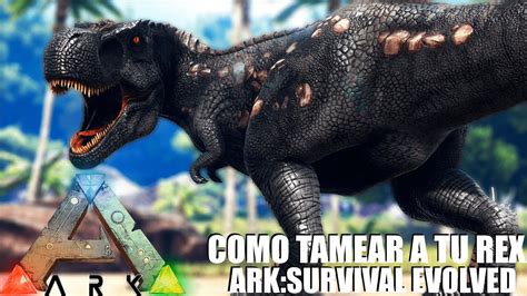 Tamear Un Rex Solo En Ark Survival Evolved Youtube
