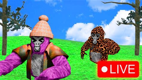 Gorilla Tag Live With Viewers Codes And Minigames YouTube