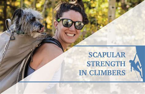 The Importance Of Scapular Strength In Climbers The Climbing Doctor