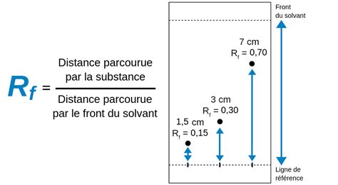 Le Rapport Frontal Labster Theory