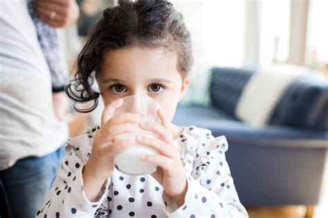Cuáles Son Las Mejores Leches Saborizadas Según Profeco Infobae