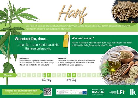 Hanf Kulturinfo Landwirtschaftliches Wissen Im Querformat