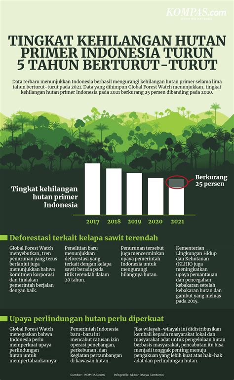 INFOGRAFIK Tingkat Kehilangan Hutan Primer Indonesia Turun 5 Tahun