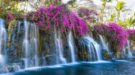 Ultra Relaxing Zen Music Healing Relaxation Of Stress And Anxiety