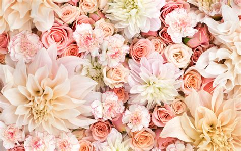 Top 58 Floral Aesthetic Wallpaper Best In Cdgdbentre