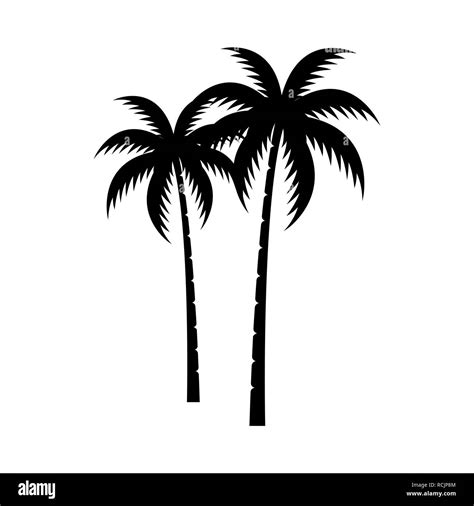 Palm Beach Illustration Black And White Stock Photos Images Alamy
