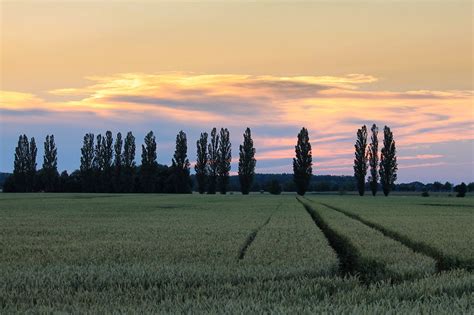 Pôr Do Sol Paisagem Árvores Foto gratuita no Pixabay