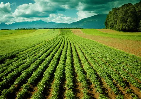 Agricoltura sostenibile il Residuo Zero per preservare la biodiversità