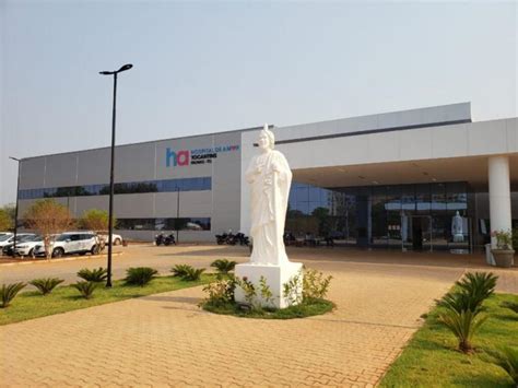 Leilão Direito de Viver será realizado na Expoara 2024 para reforçar