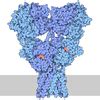 Pdb Molecule Of The Month By Category