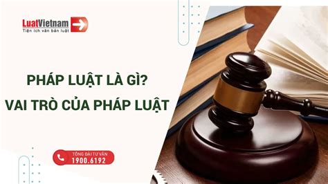 Tìm hiểu quy định pháp luật là gì và cách thức thực hiện quy định đó